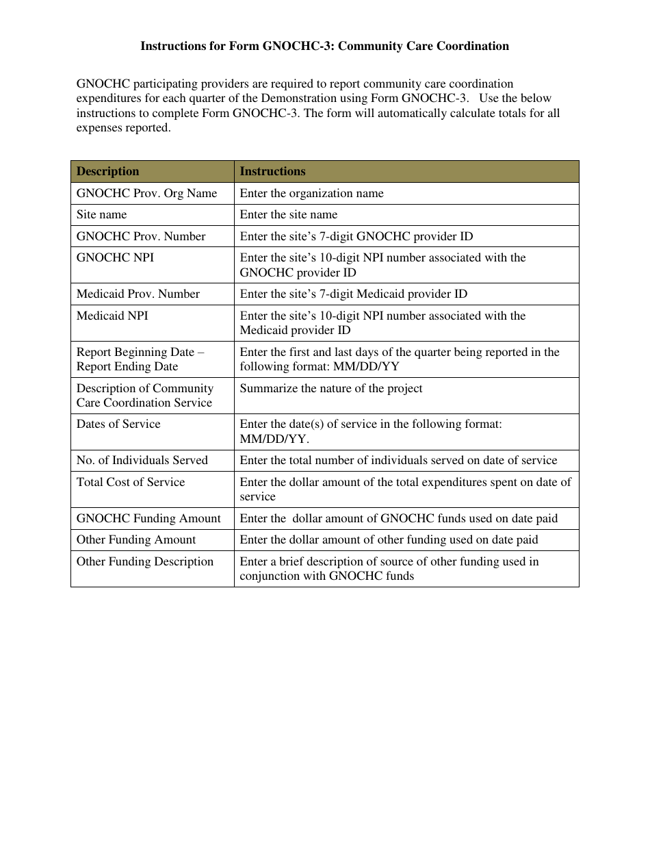 Download Instructions for Form GNOCHC-3 Community Care Coordination ...