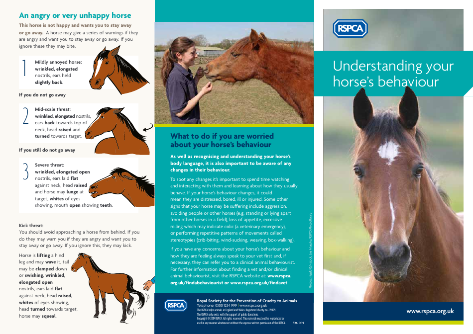 Horse Body Language Chart - Understanding Your Horse's Behaviour ...