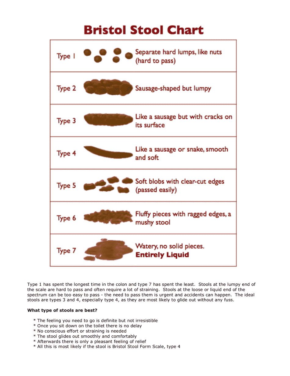 Bristol Stool Chart - Seven Types Download Printable PDF | Templateroller