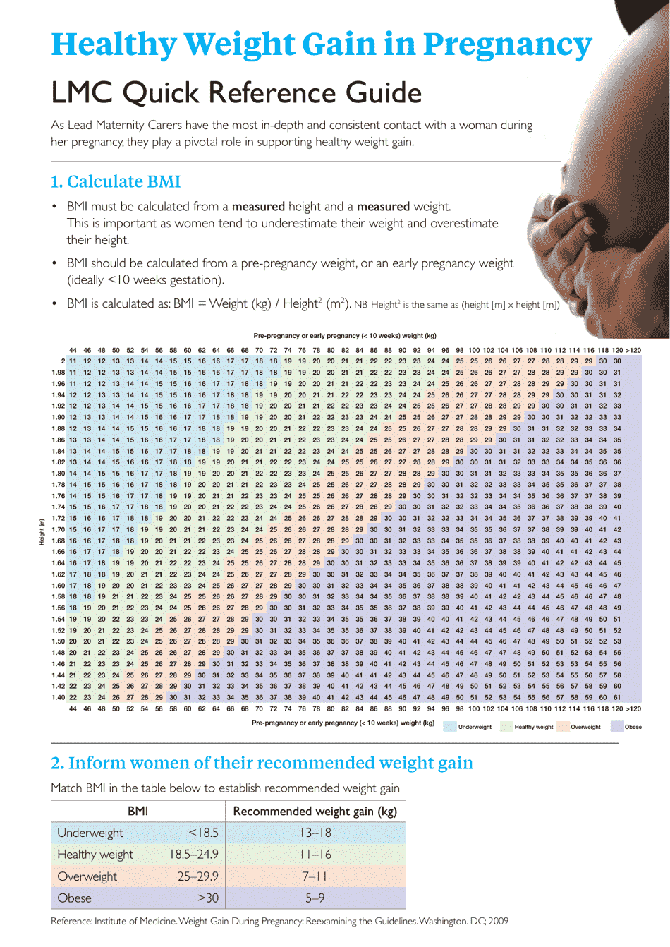 Pregnancy BMI Chart Download Printable PDF Templateroller