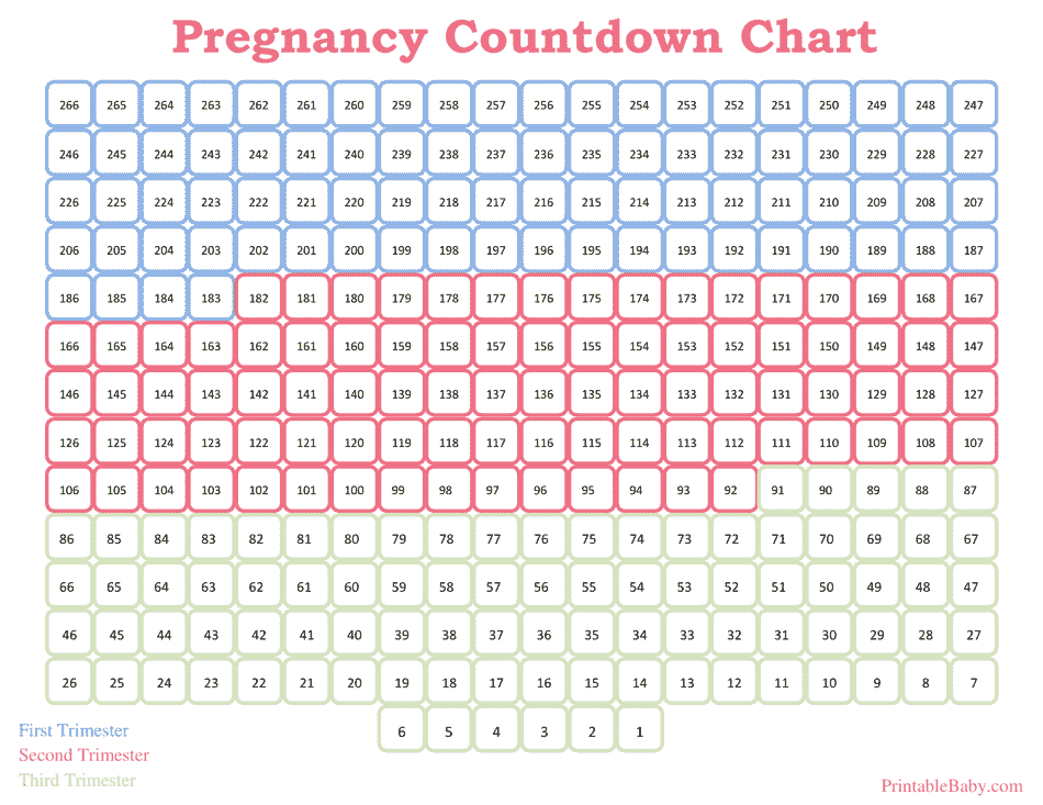 Pregnancy Countdown Chart Download Printable PDF | Templateroller