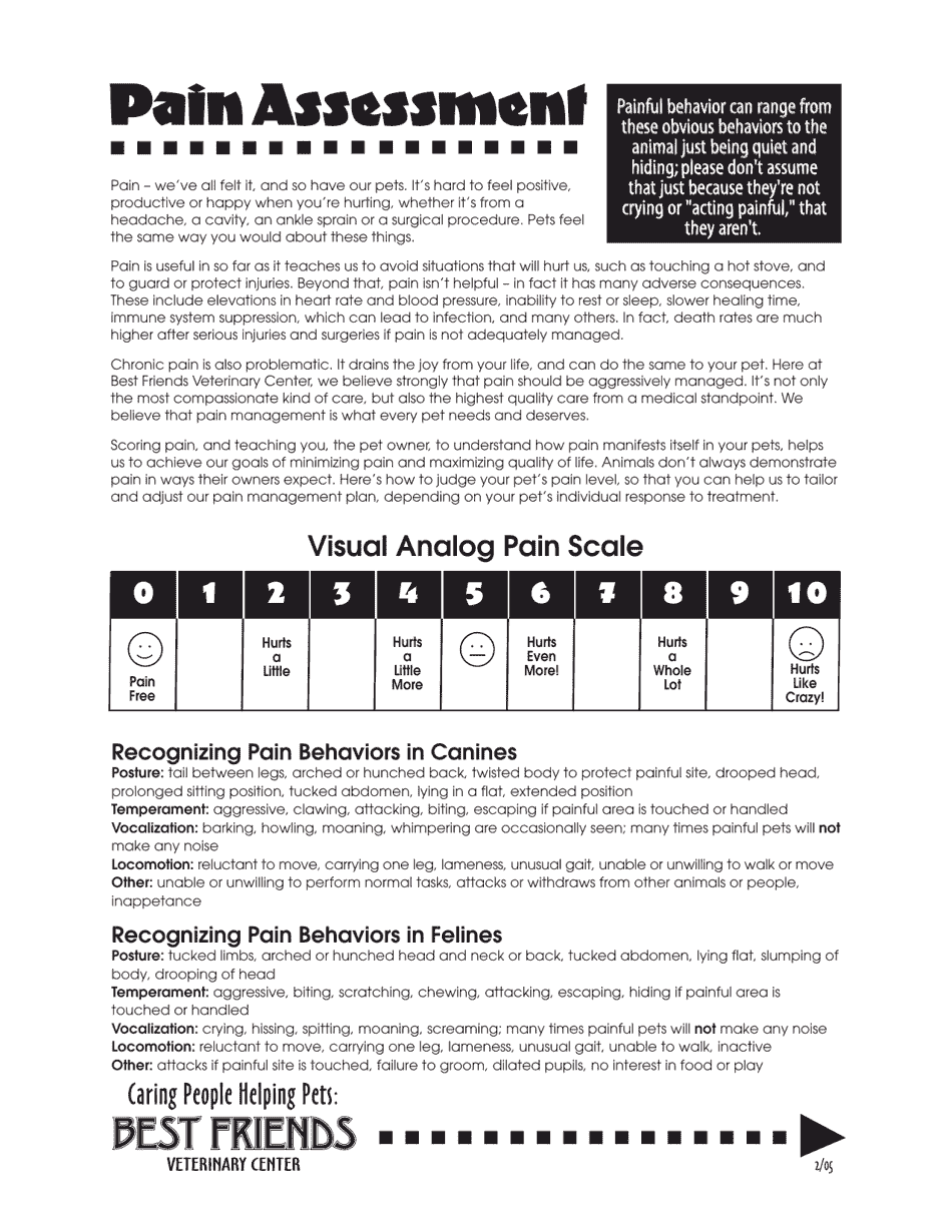 Pet Pain Assessment Chart Download Printable PDF | Templateroller