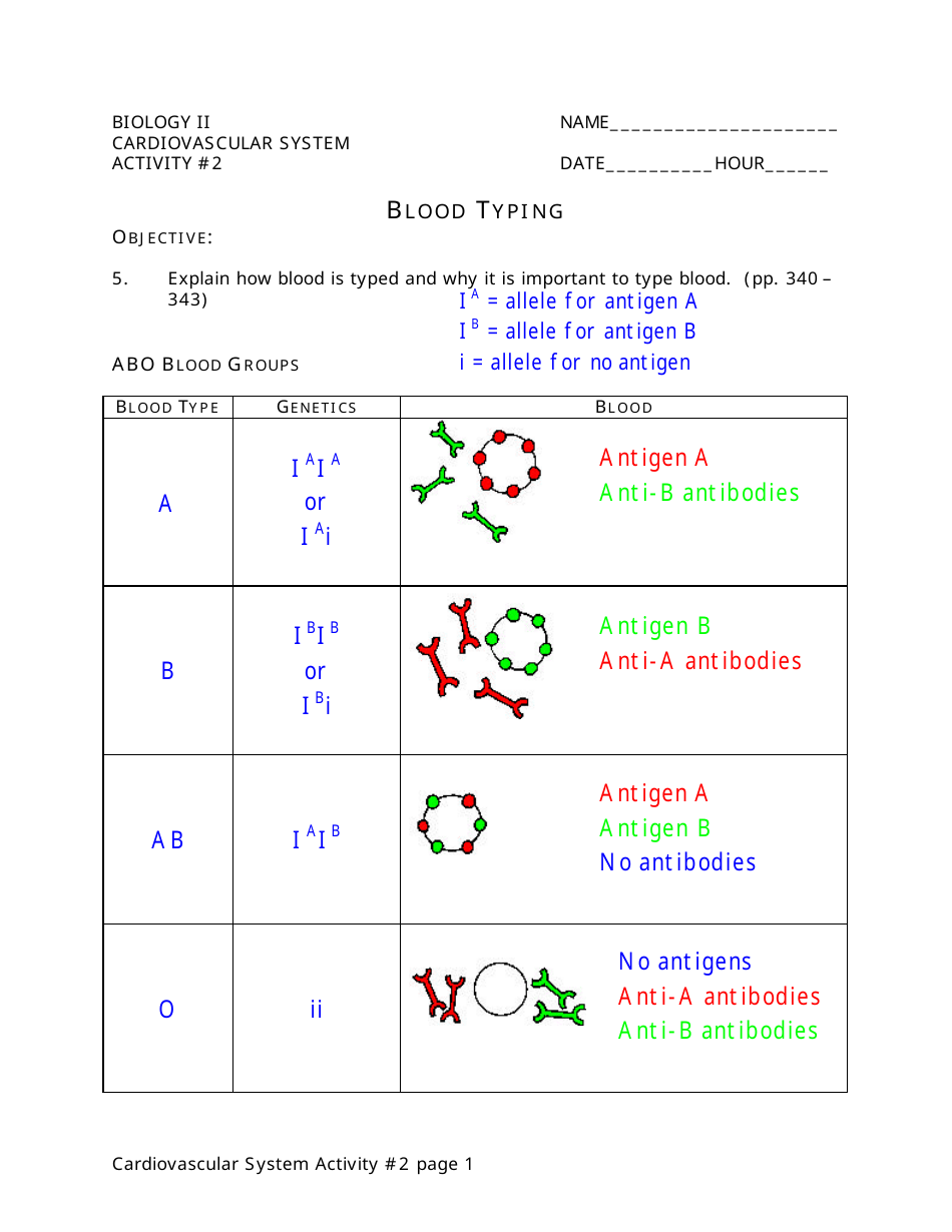 Biology Cardiovascular System Activity Sheet - Blood Typing Download ...