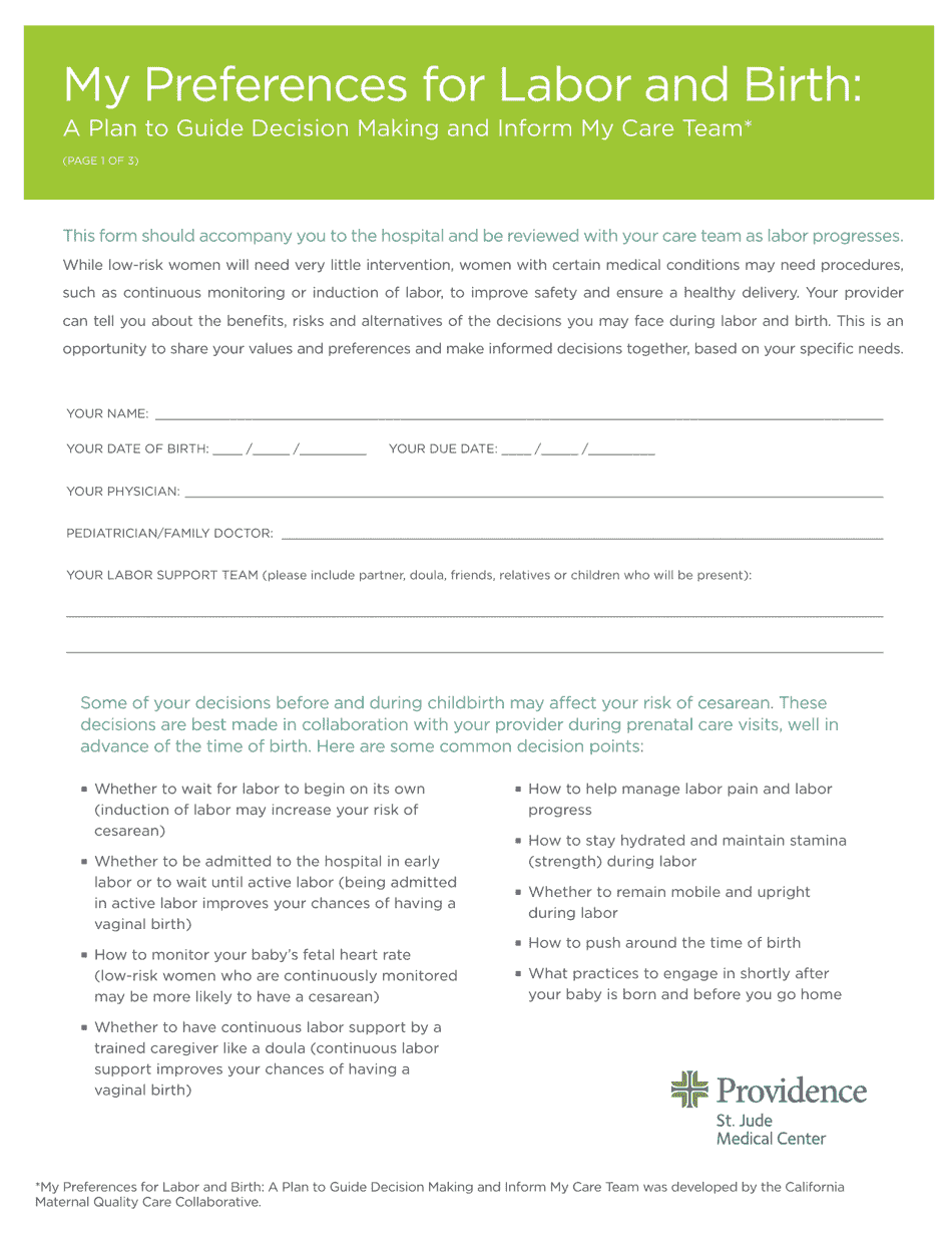 Labor and Birth Preferences Form - Fill Out, Sign Online and Download ...