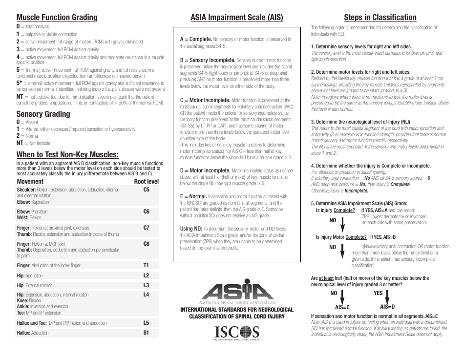 International Standards for Neurological Classification of Spinal Cord Injury (Isncsci) Download ...