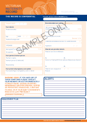 Maternity Record - Sample Download Printable PDF | Templateroller