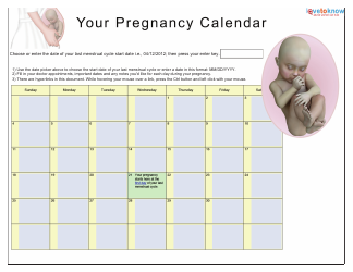 Pregnancy Calendar Download Fillable PDF | Templateroller