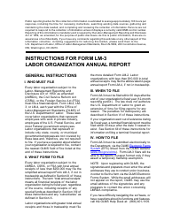 Download Instructions for Form LM-3 Labor Organization Annual Report ...