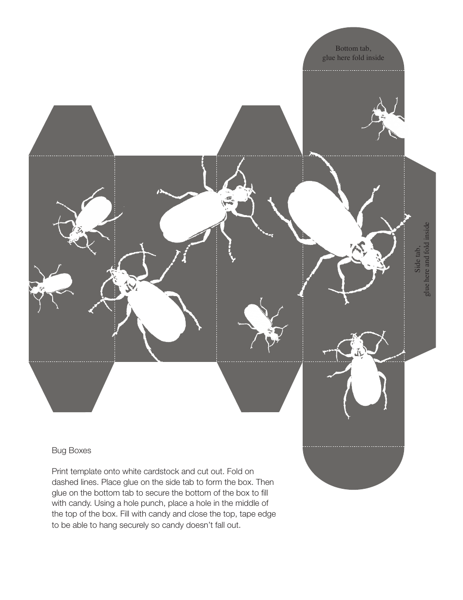 Card Stock Bug Box Templates Download Printable PDF | Templateroller