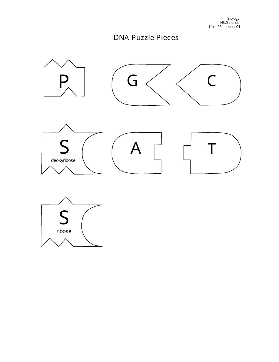 Dna Puzzle Piece Templates Download Printable PDF | Templateroller