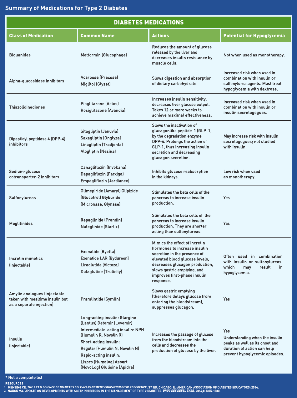 Type 2 Diabetes Medications Summary Sheet Download Printable PDF ...