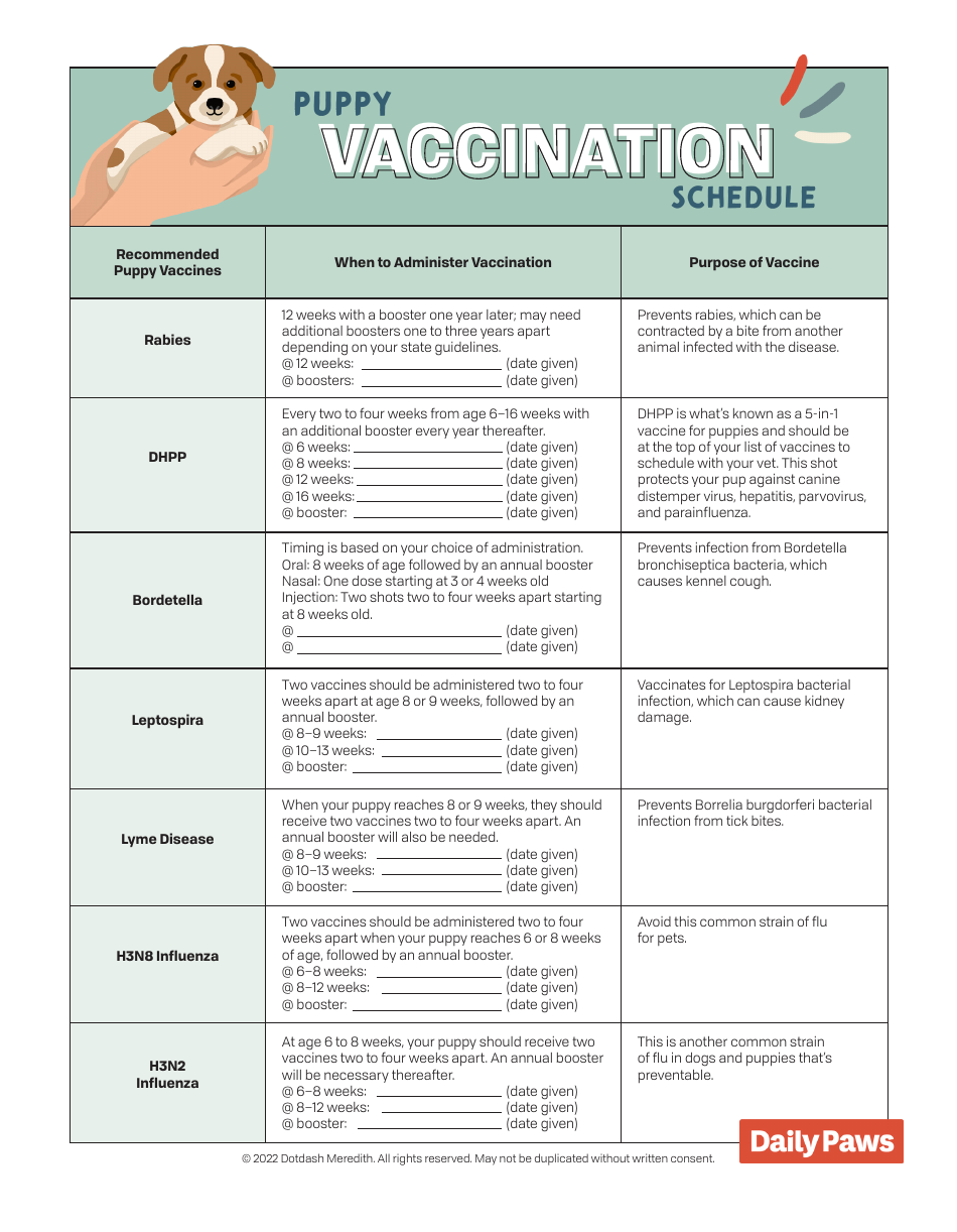 Puppy Vaccination Schedule - Dotdash Meredith Download Printable PDF ...