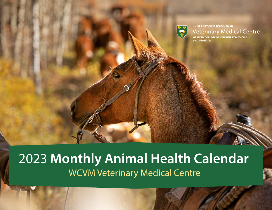 Monthly Animal Health Calendar - University of Saskatchewan Download ...