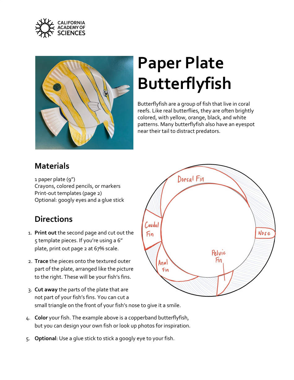 Paper Plate Butterflyfish Download Printable PDF | Templateroller