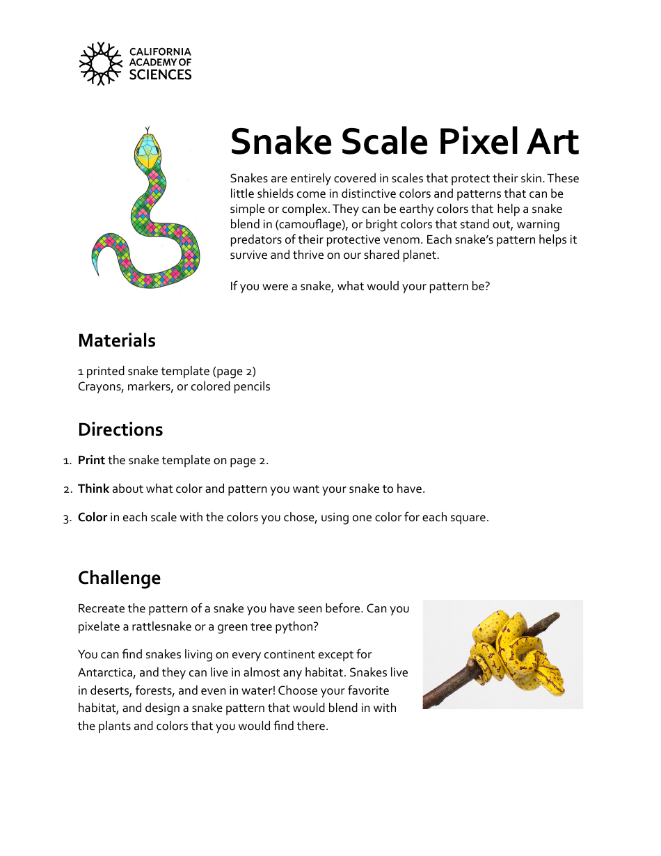 Snake Scale Pixel Art Template Download Printable PDF | Templateroller