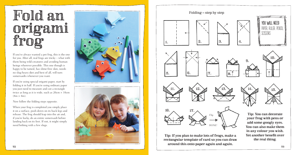 Origami Frog Guide Download Printable PDF | Templateroller