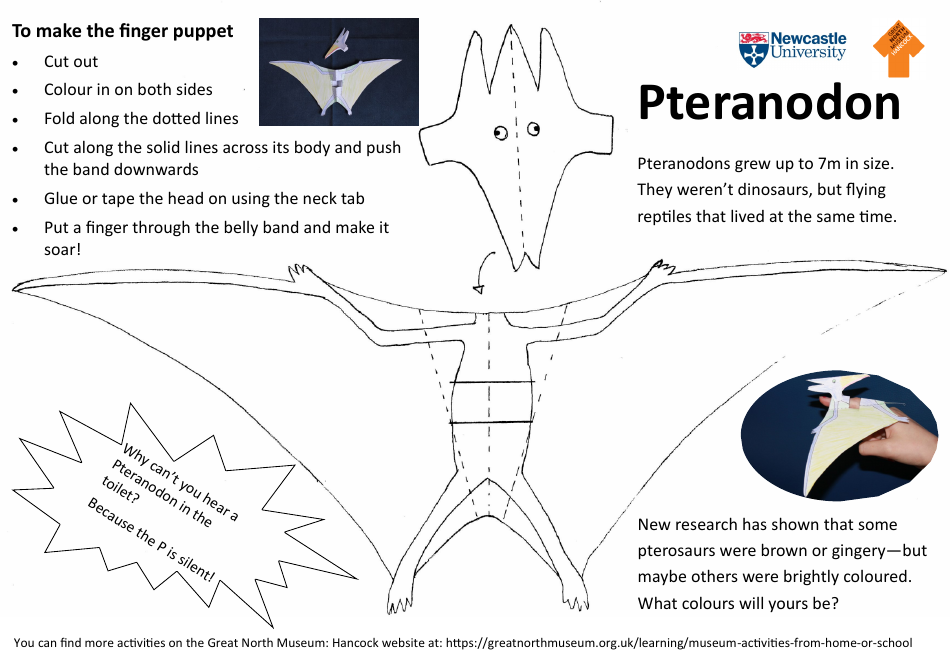 Pteranodon Finger Puppet Template Download Printable PDF | Templateroller