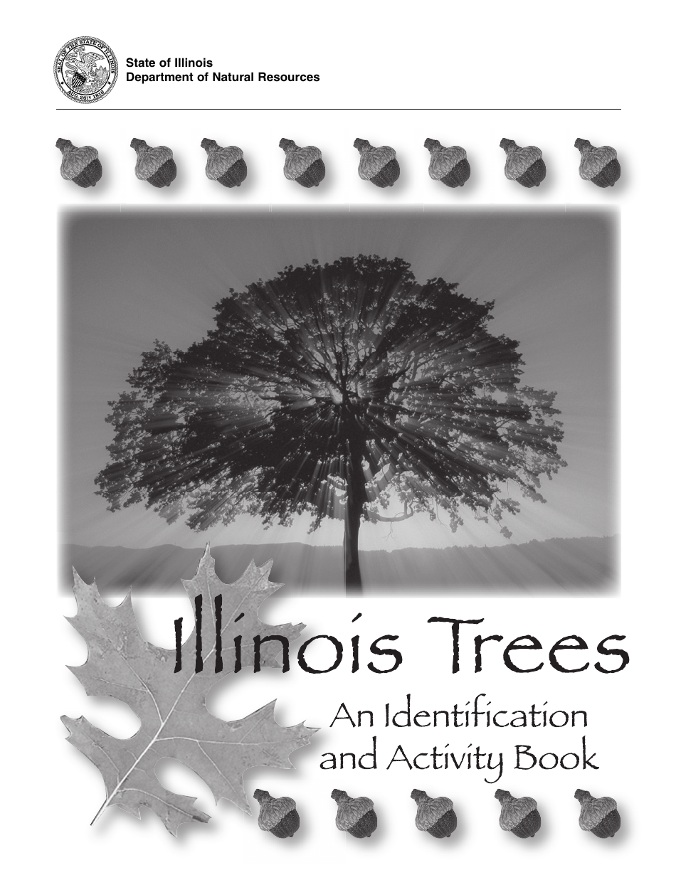 Illinois Illinois Trees Activity Book - Fill Out, Sign Online and ...