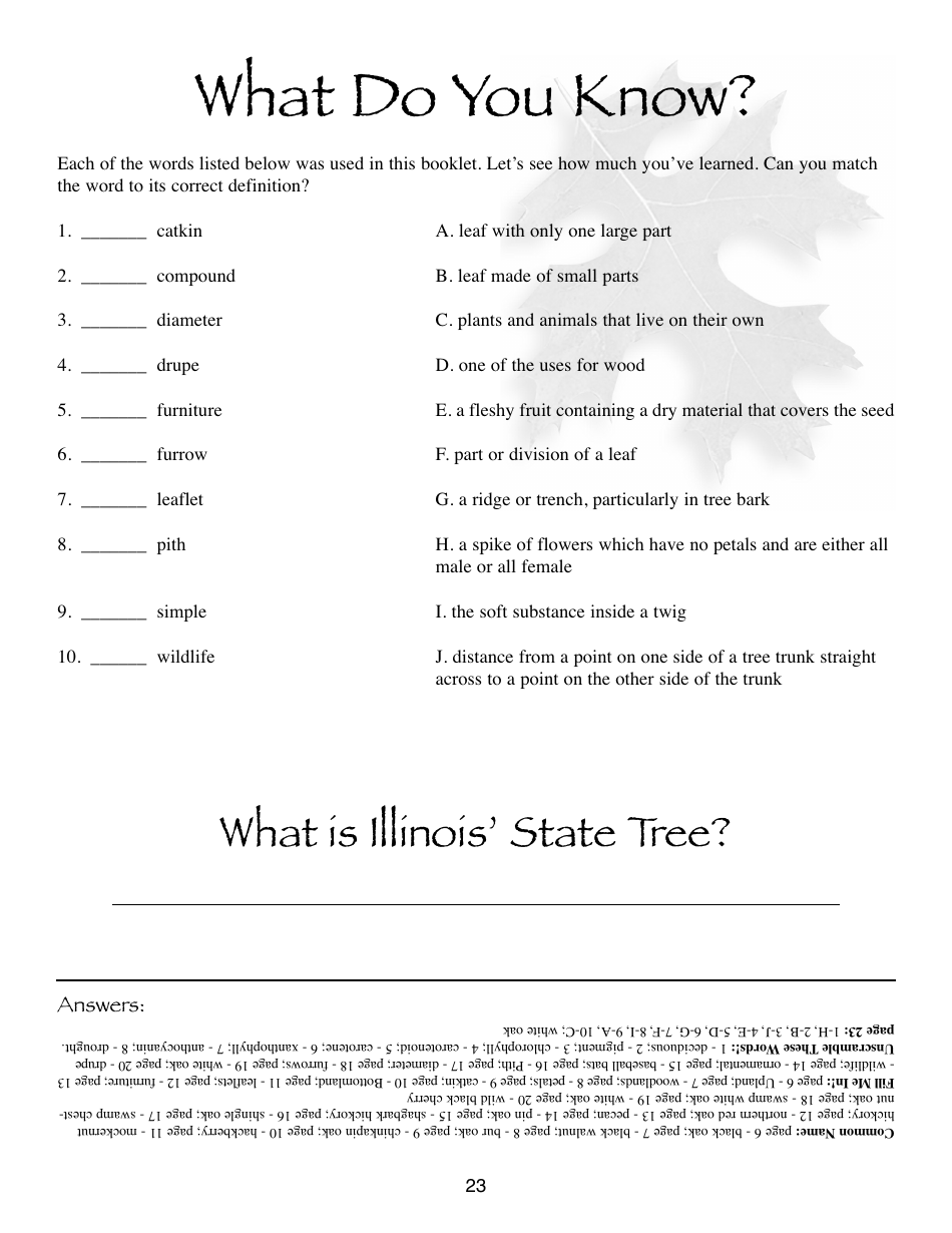 Illinois Illinois Trees Activity Book - Fill Out, Sign Online and ...