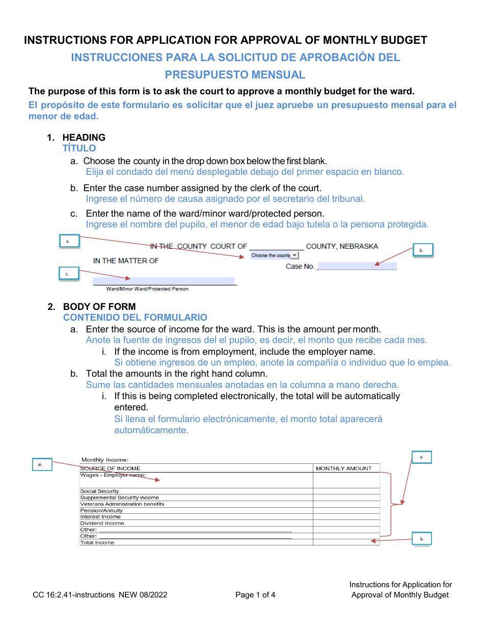 Download Instructions for Form CC16:2.41 Application for Approval of Monthly Budget PDF ...
