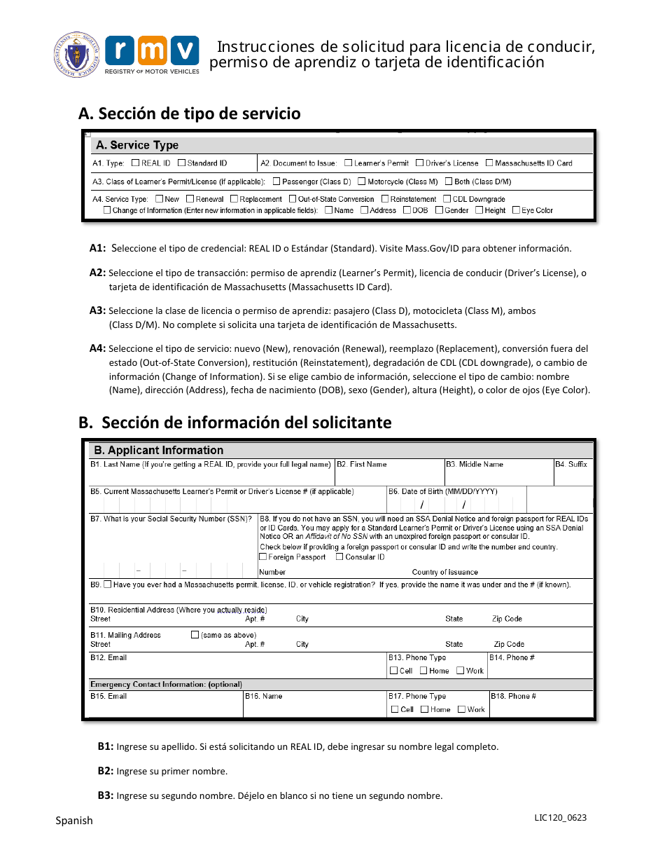 Download Instrucciones para Formulario LIC100 Driver's License, Learner ...