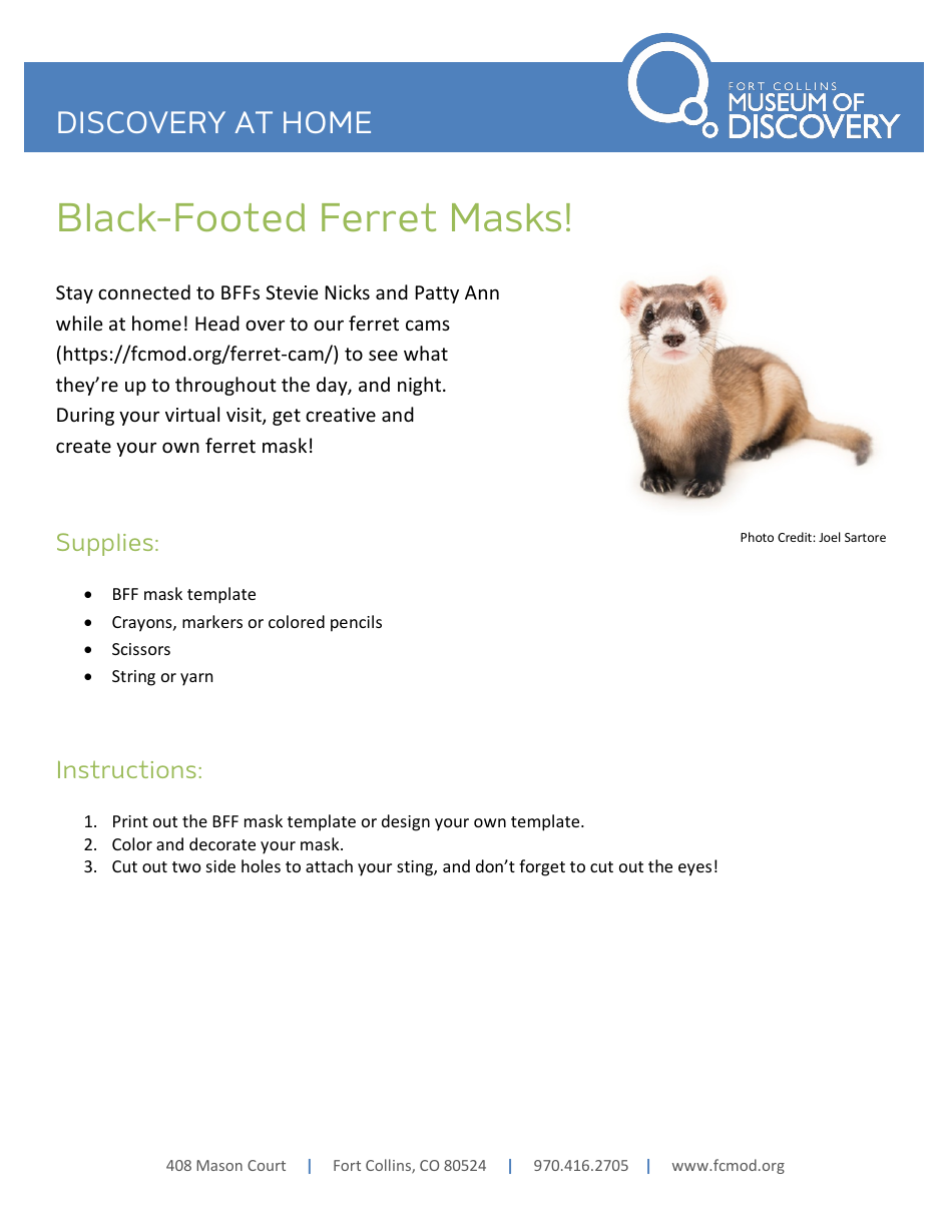 Black-Footed Ferret Mask Coloring Template Download Printable PDF ...