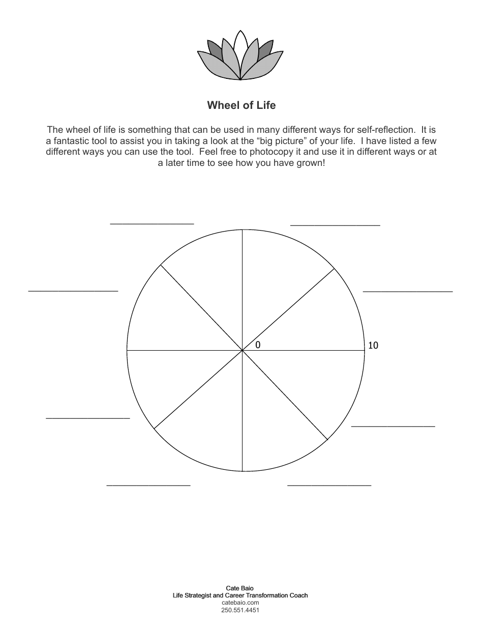 Wheel of Life Self-coaching Template Download Printable PDF ...