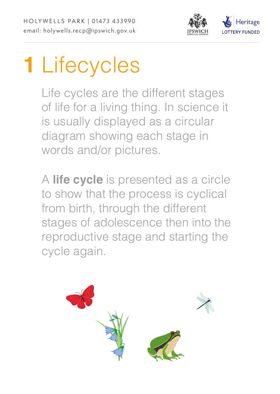 Life Cycle Activity Sheet Download Printable PDF | Templateroller