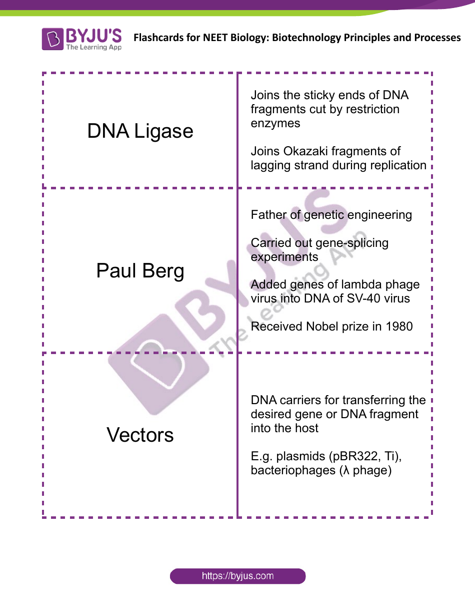 Neet Biology Flashcards - Biotechnology Principles and Processes ... Neet Biology Flashcards - Biotechnology Principles and Processes ...
