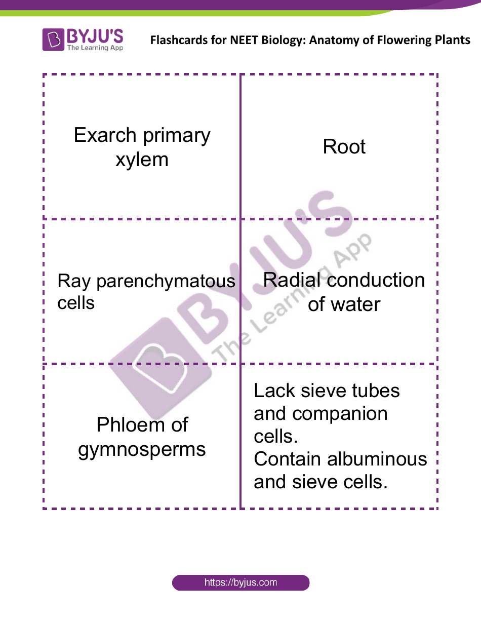 Biology Flashcards - Anatomy of Flowering Plants Download Printable PDF ...
