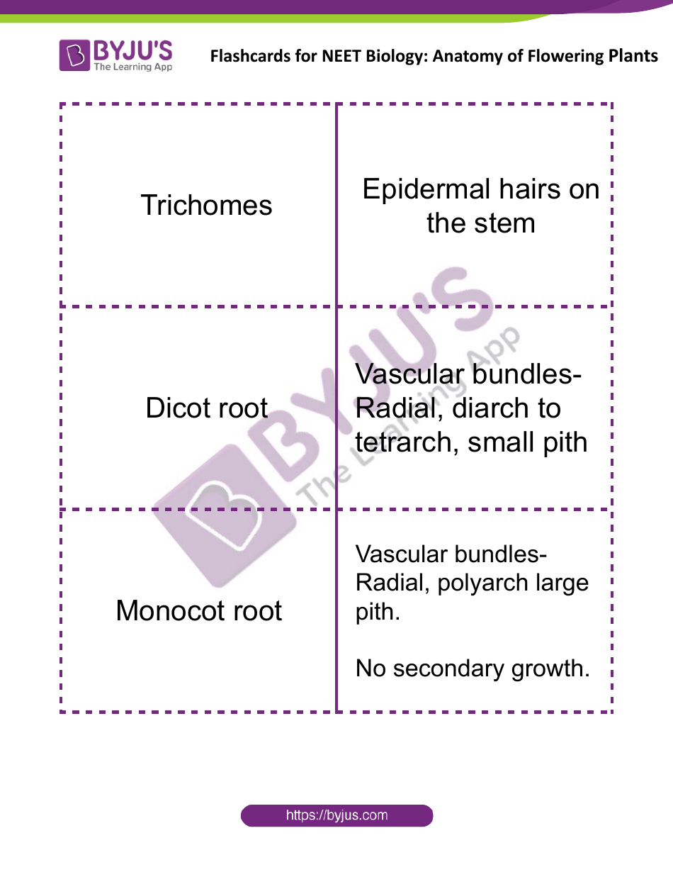 Biology Flashcards - Anatomy of Flowering Plants Download Printable PDF ...