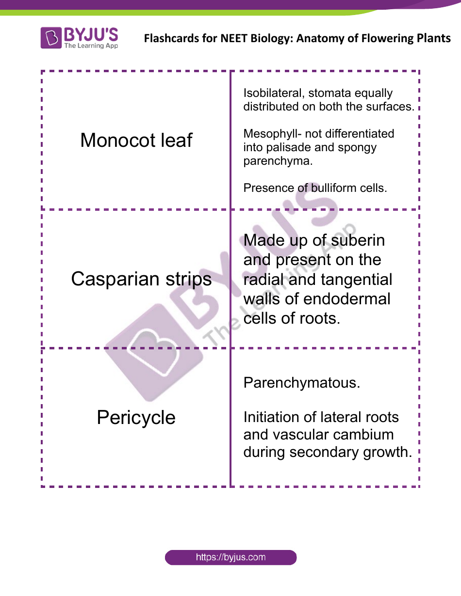 Biology Flashcards - Anatomy of Flowering Plants Download Printable PDF ...