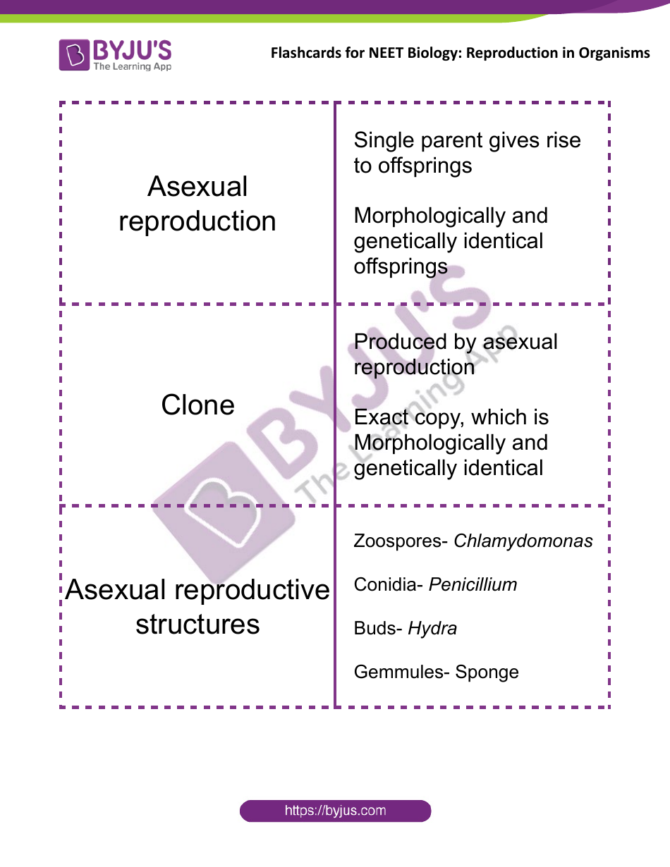 Neet Biology Flashcards - Reproduction in Organisms Download Printable ...