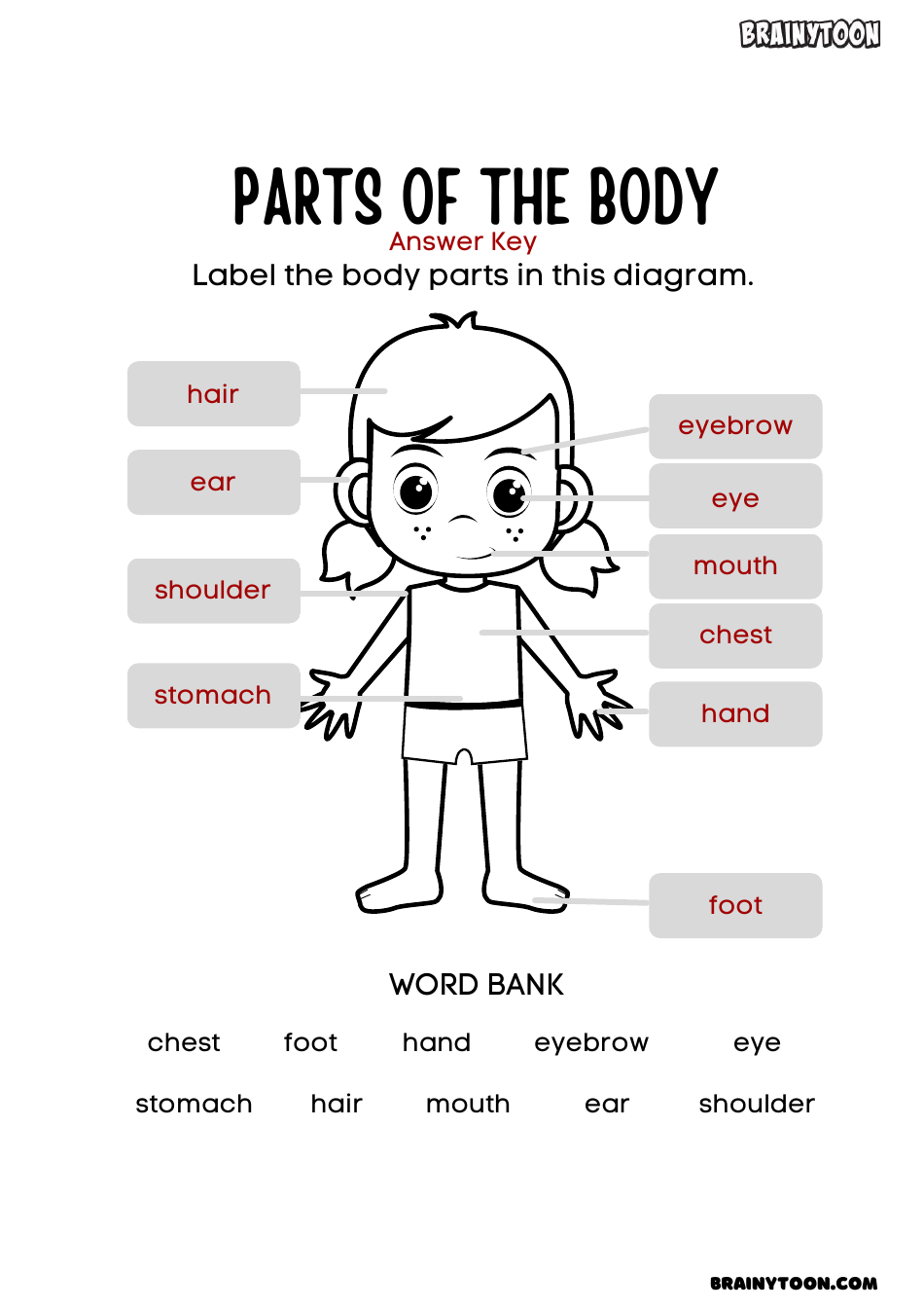 Body Parts Flashcards for Speech Therapy Download Printable PDF ...