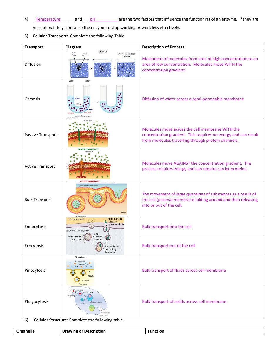 General Biology Midterm Exam Review Guide Download Printable PDF ... General Biology Midterm Exam Review Guide Download Printable PDF ...