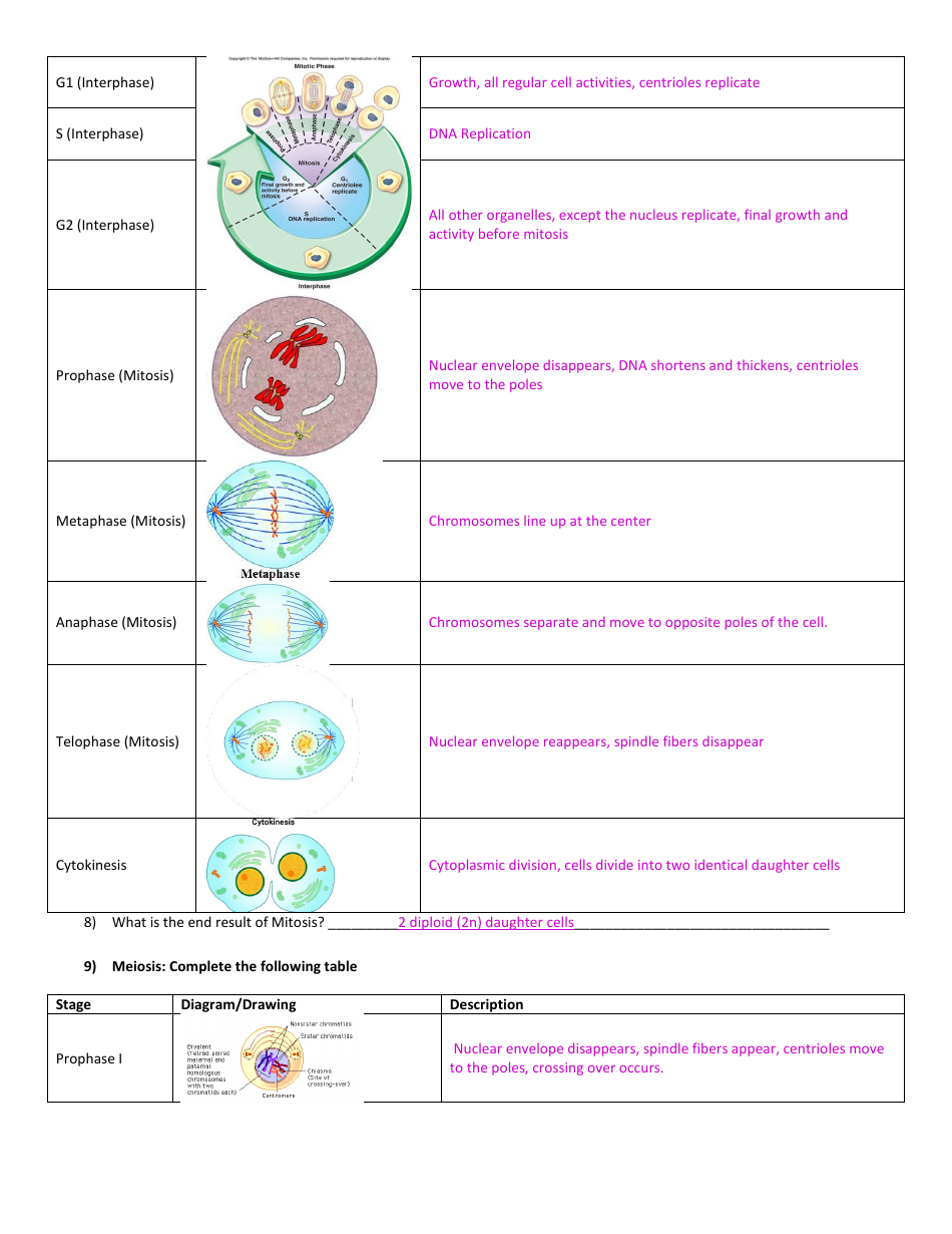 General Biology Midterm Exam Review Guide Download Printable PDF ... General Biology Midterm Exam Review Guide Download Printable PDF ...