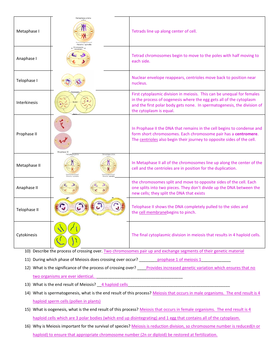 General Biology Midterm Exam Review Guide Download Printable PDF ... General Biology Midterm Exam Review Guide Download Printable PDF ...