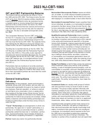 Download Instructions for Form NJ-CBT-1065 New Jersey Partnership ...