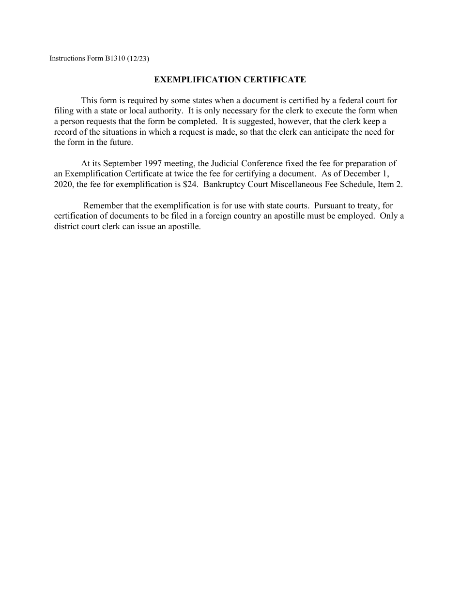 Download Instructions for Form B1310 Exemplification Certificate PDF ...