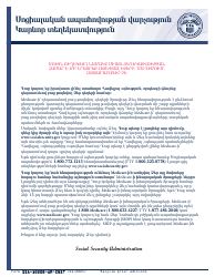 Download Instructions for Form SSA-1020 Application for Extra Help With ...