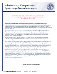 Download Instructions for Form SSA-1020 Application for Extra Help With ...