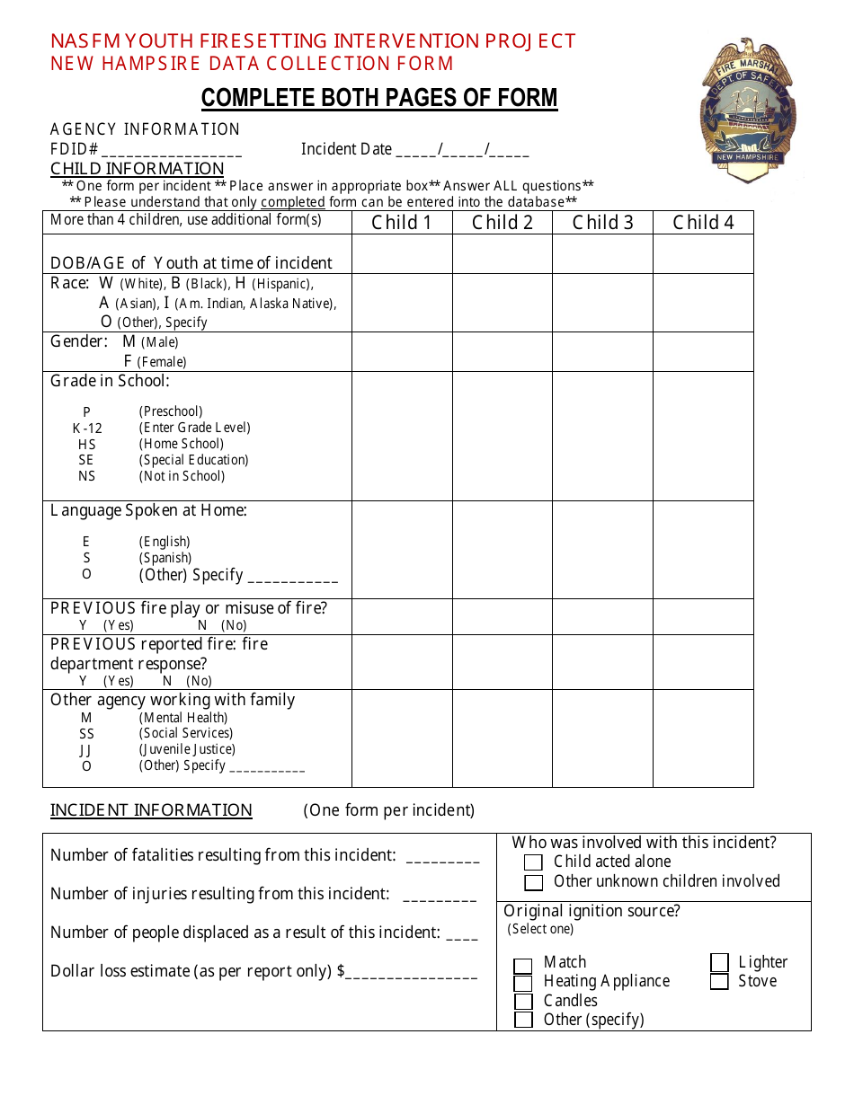 New Hampshire New Hampsire Data Collection Form - Nasfm Youth ...