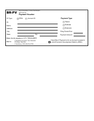 Form BR-PV - Fill Out, Sign Online and Download Fillable PDF, City of ...