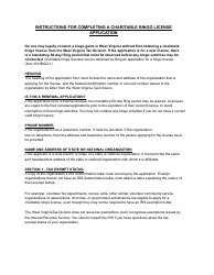 Download Instructions for Form BGO-1 Application for Annual, Limited ...