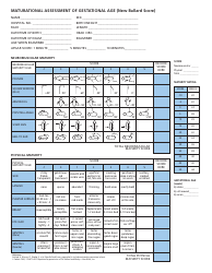Gestational Age Maturational Assessment Form - New Ballard Score ...