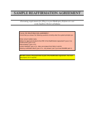 Download Instructions for Form 240A Sample Reaffirmation Agreement PDF ...