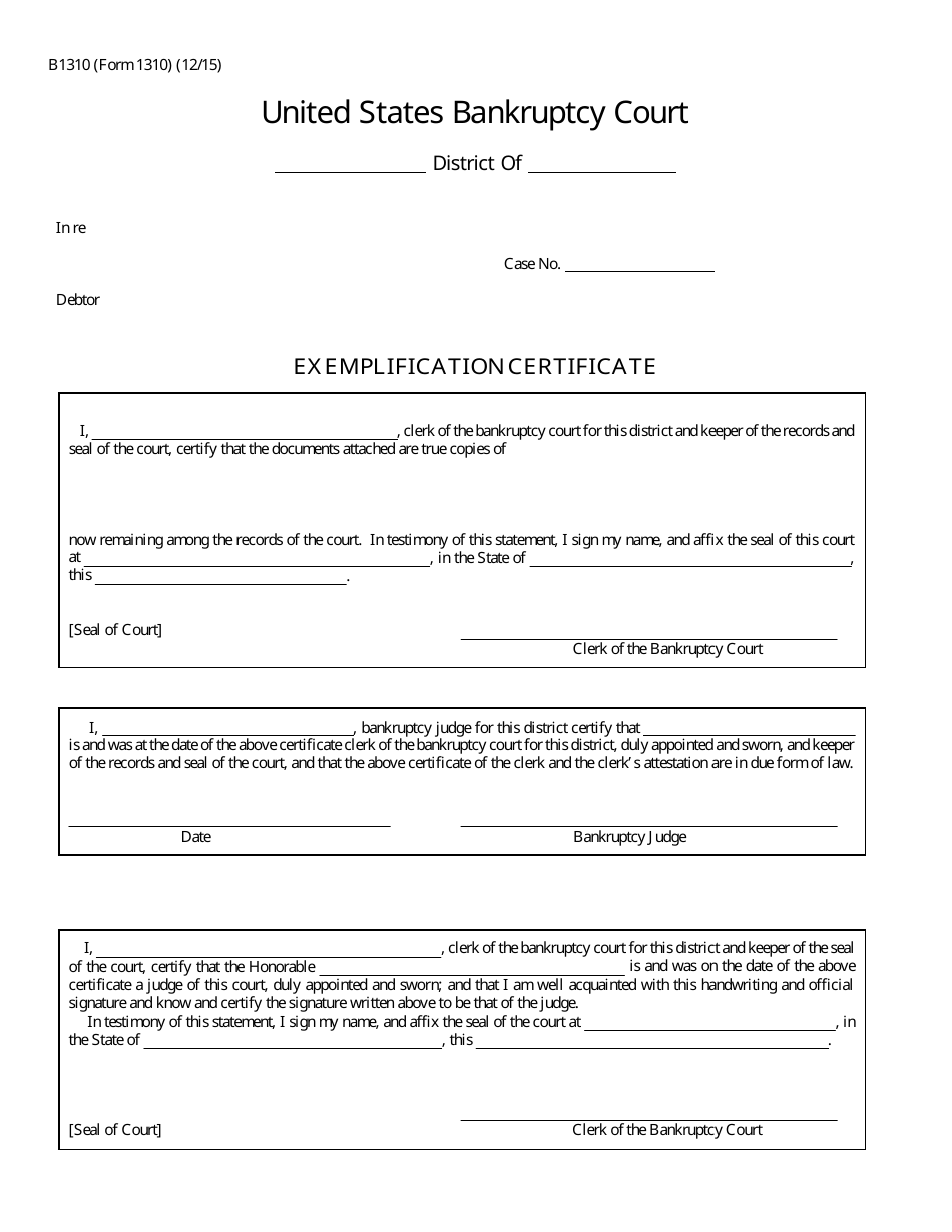 Form B1310 - Fill Out, Sign Online and Download Printable PDF ...
