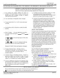 Download Instructions for Form SSA-10 Application for Widow's or ...