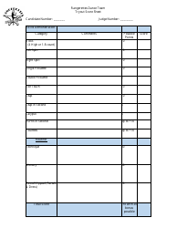 Dance Team Tryout Score Sheet - Rangerettes Dance Team Download ...