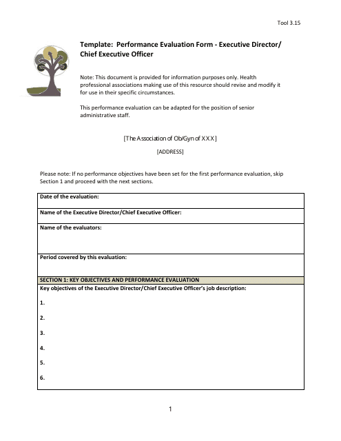 Performance Evaluation Form Executive Director Chief Executive 